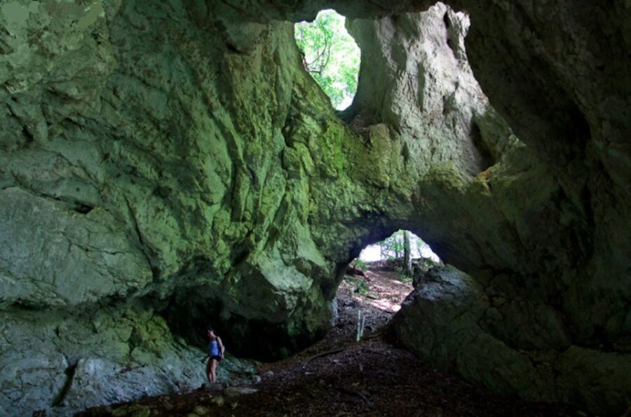 From Bled: Half-Day Pokljuka Gorge Trail Hike
