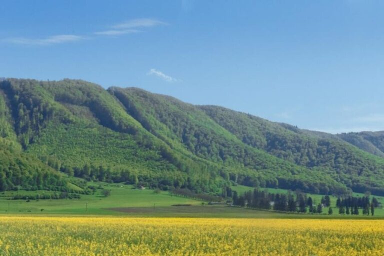 From Bucharest: Bear Sanctuary and 7 Ladders Canyon Day Trip - A Deep Dive into the Experience