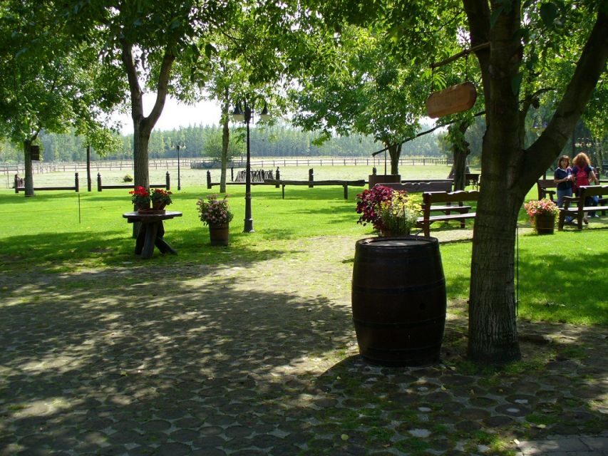 From Budapest: Full-Day Puszta Tour with Lunch and Show