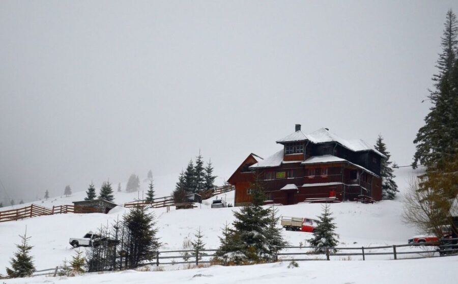 From Cluj-Napoca: Day Hike to Vldeasa Peak