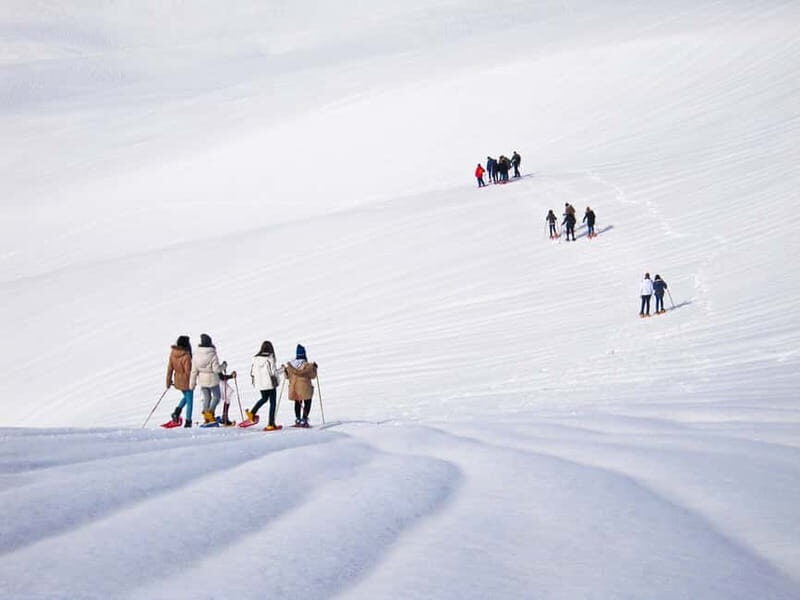 From Cluj: Winter Walking Trip on the Great Mountain