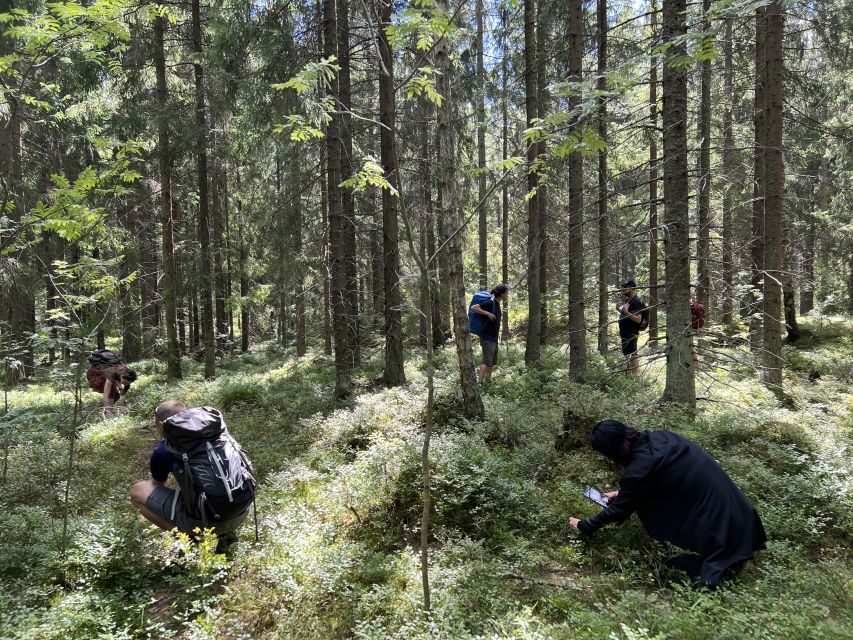 From Helsinki: Hike and Sauna in Sipoonkorpi National Park