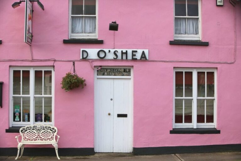From Killarney: Ring of Kerry Full-Day Tour - Killorglin and the Puck Fair