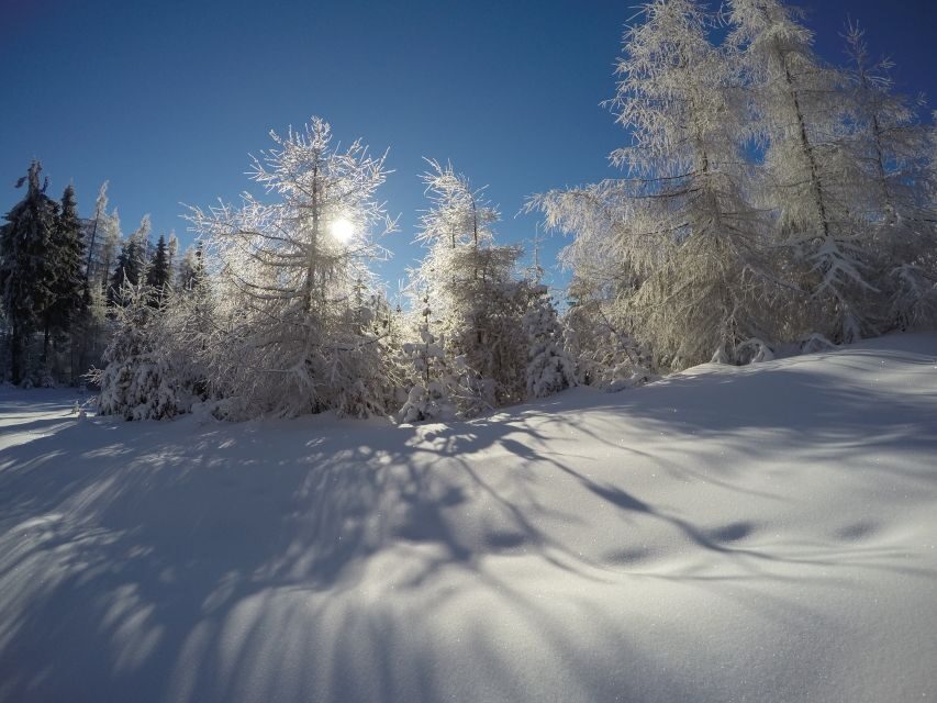 From Krakow: 3-Hour Skiing Experience Suitable for Beginners