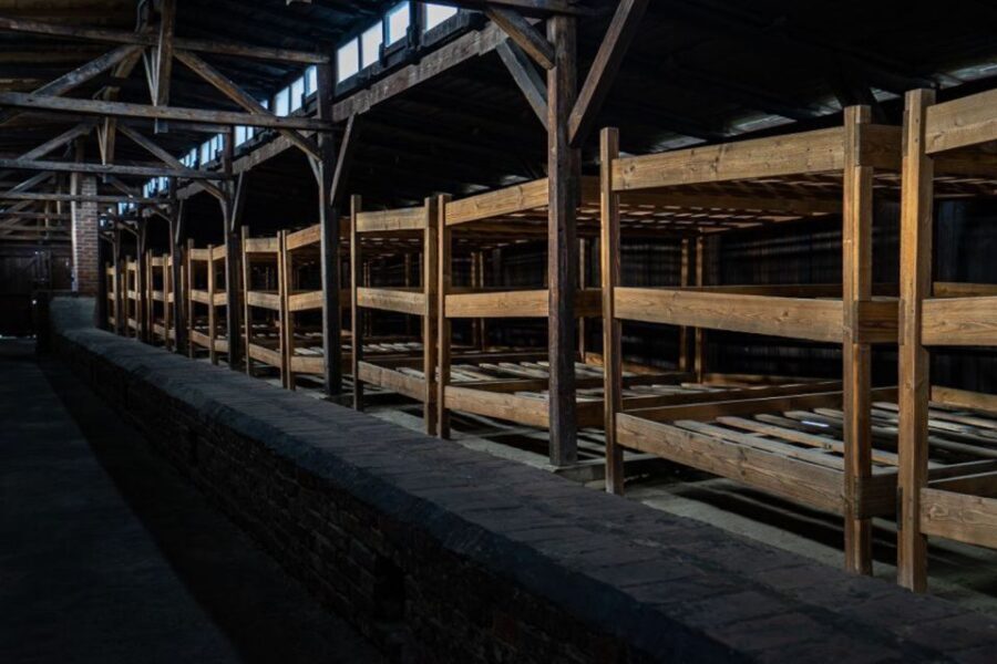 From Krakow: Auschwitz-Birkenau Full-Day Tour