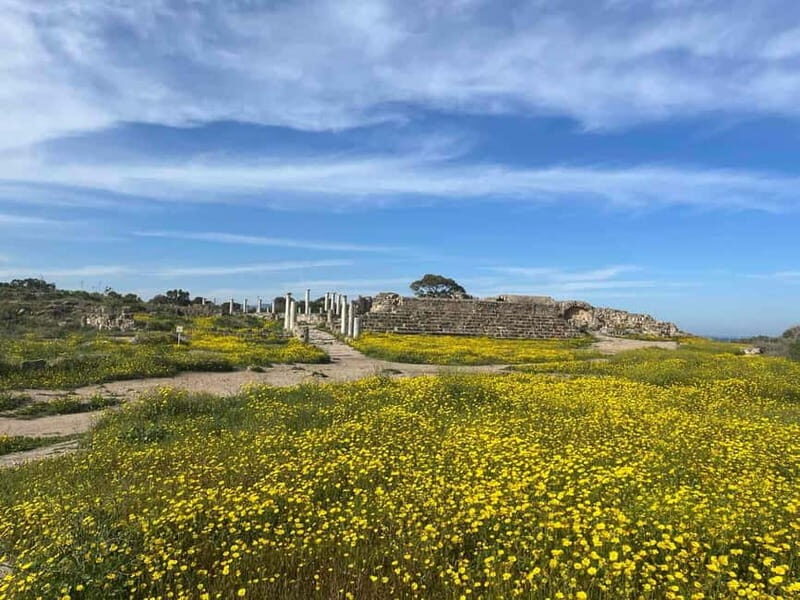 From Paphos: Famagusta, Salamis, and Varosha Walking Tour
