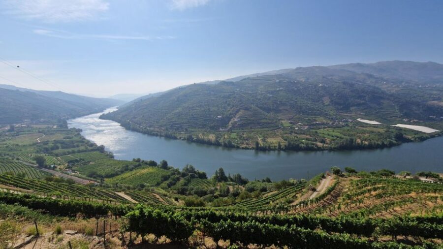 From Porto Private Wine Tour with 2 Tastings, Boat and Lunch