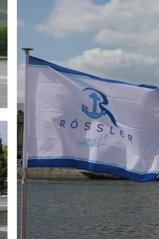 From Rüdesheim: 1.5-Hour Boat Cruise with Wine Tasting