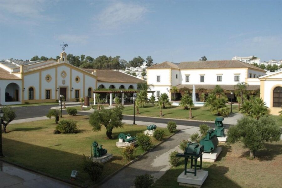 From Seville: Tour of Jerez with Horse Show & Wine Tasting