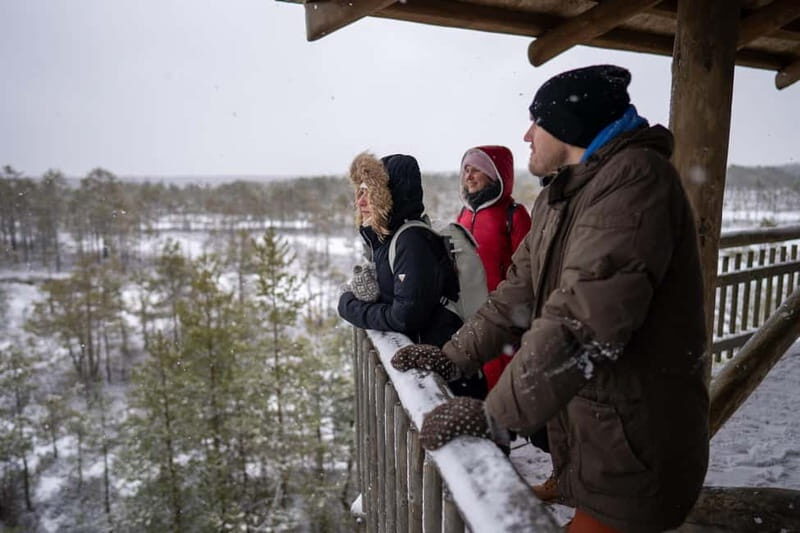 From Tallinn: Day Trip to Lahemaa National Park