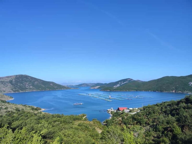 From Tirana: Day Tour to Shala River with Boat Trip - Deep Dive into the Itinerary