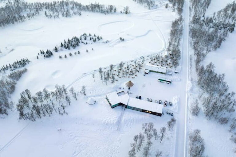 From Tromsø: Husky Experience with Self-Drive Dog Sled Ride - The Itinerary in Detail
