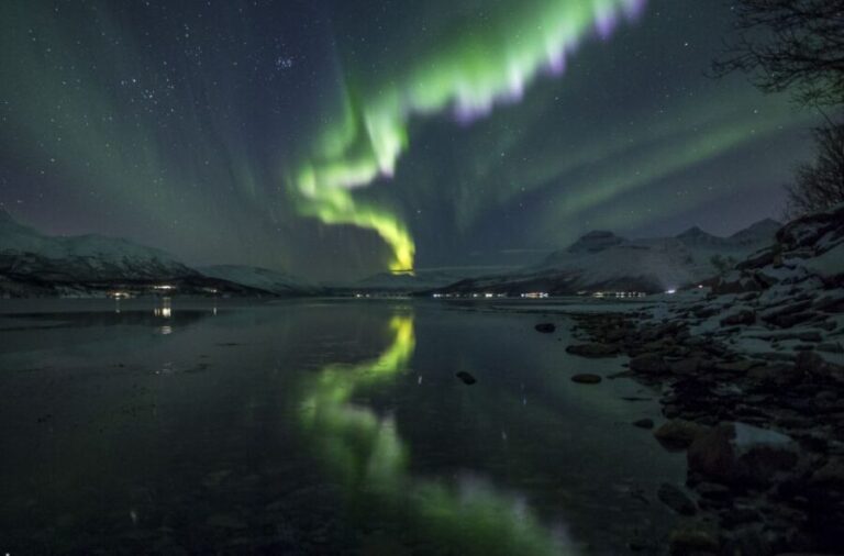 From Tromsø: Northern Lights Tour - A Deep Dive into the Experience