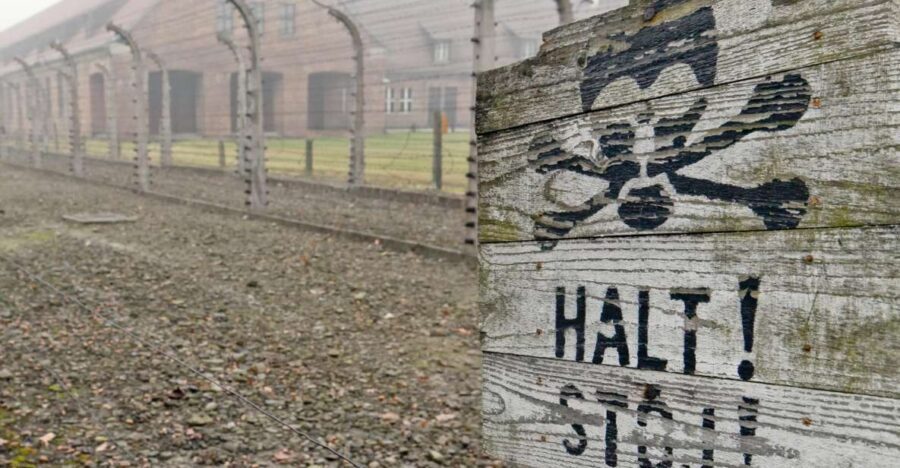 From Wrocaw: Full-Day Auschwitz-Birkenau Guided Tour