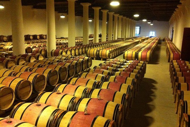 Full day Bordeaux Historic Gourmet Walking and Médoc Tour