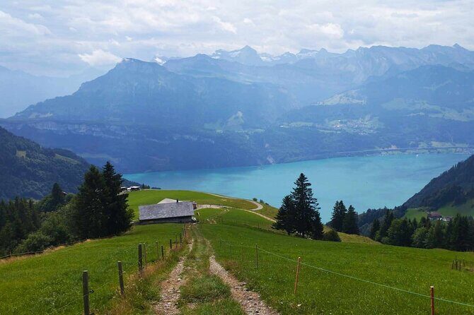 Full-Day Hiking Swiss Alps and Lake swim with Pick-up
