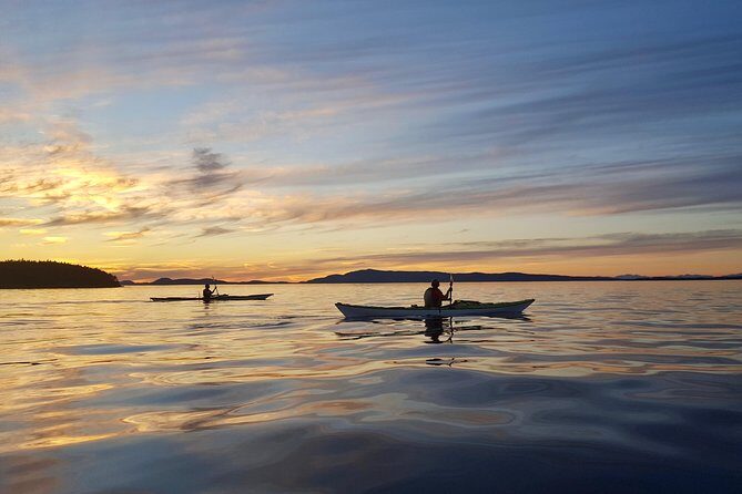 Full Day San Juan Island Kayaking Adventure - The Practicalities
