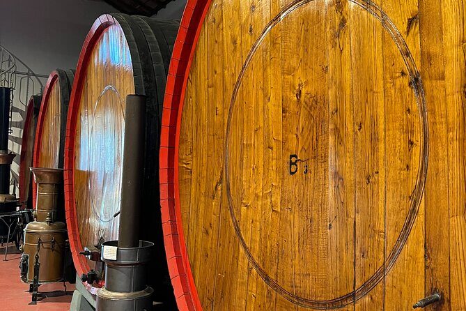 Full Day Super Cars, Parmesan, Balsamic Tour w/Light Lunch - Analyzing the Value