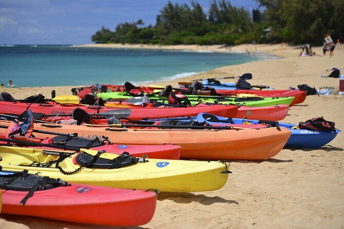 Full-Day Tour in Key West from Miami with Add-on extras - Key West Arrival: The Historic Seaport