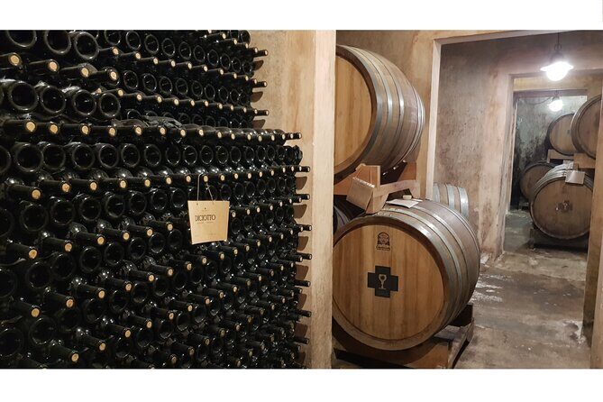 Gallipoli Full Day Private Tour: Coast, Beaches and Wineries