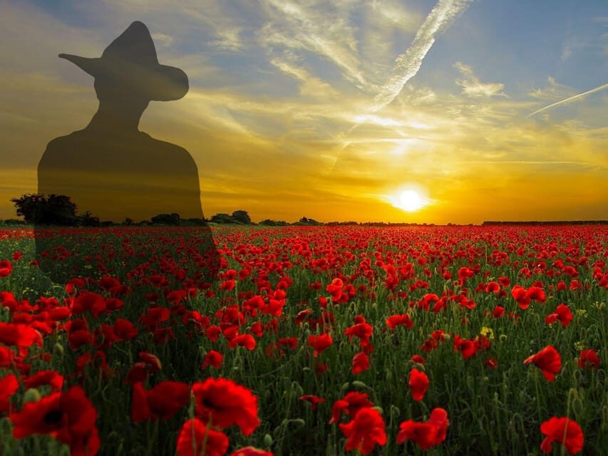 Gallipoli Full-Day Tour from Istanbul