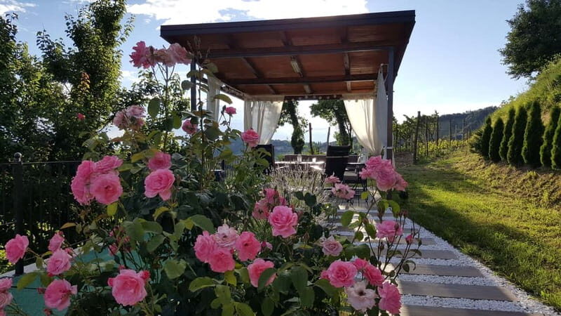 Gorika Brda: Wine Tasting with Local Snacks