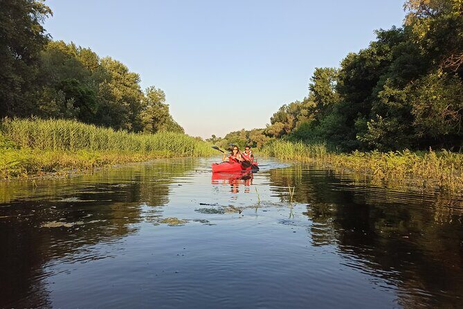 Great War Island Kayak Adventure