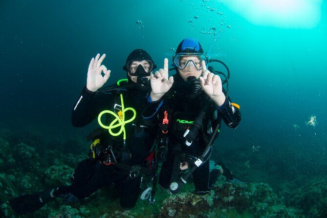 Guided diving for beginners without certification from Sorrento