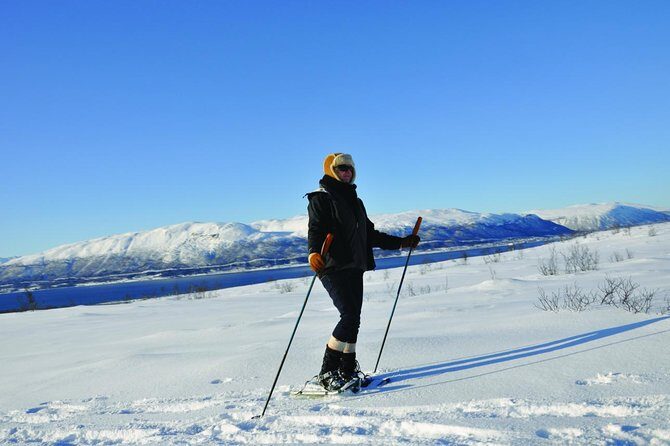 Guided Morning Snowshoe Hike with Huskies