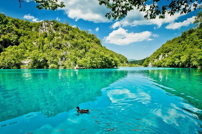 Guided transfer from Split to Zagreb with Plitvice Lakes stop - The Full Experience: What to Expect