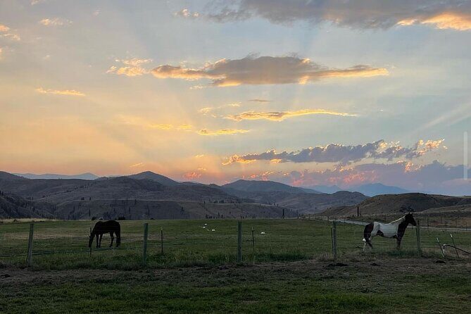 Guided Walking Tour of Methow Meadows and Meet the Animals - Final Thoughts: Is It Worth It?