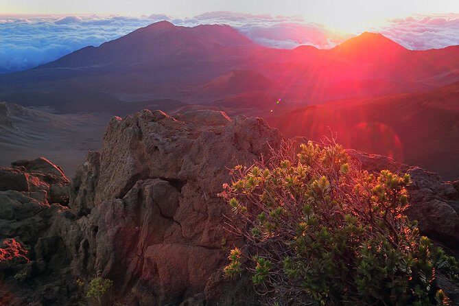 Haleakala Sunrise Tour with Breakfast and West Side Pickup - Authentic Experiences from Fellow Travelers