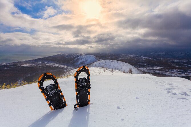 Half Day Guided Snowshoe Tour Near Breckenridge - Pricing and Value