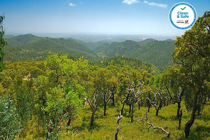 Half Day Historical Tour to Silves and Monchique