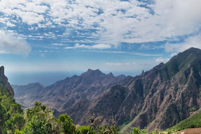 Half Day Tour Discovering Anaga Tenerife