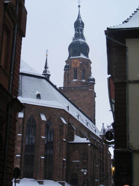 Heidelberg: 2-Hour Crime Tour with Costumed Guide - The Value of the Experience