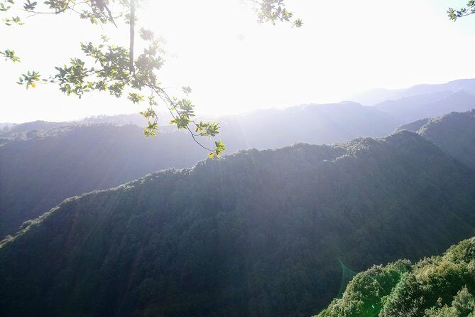 Hike in Laurisilva Levada do Rei - Madre of Life small Group guided walk