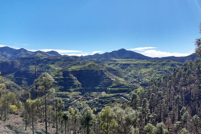 Hiking experience in the north of Gran Canaria