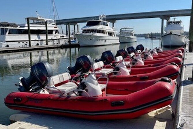 Hilton Head Guided Dolphin Watching & Sightseeing Tour via Mini Boat - What to Expect on the Itinerary