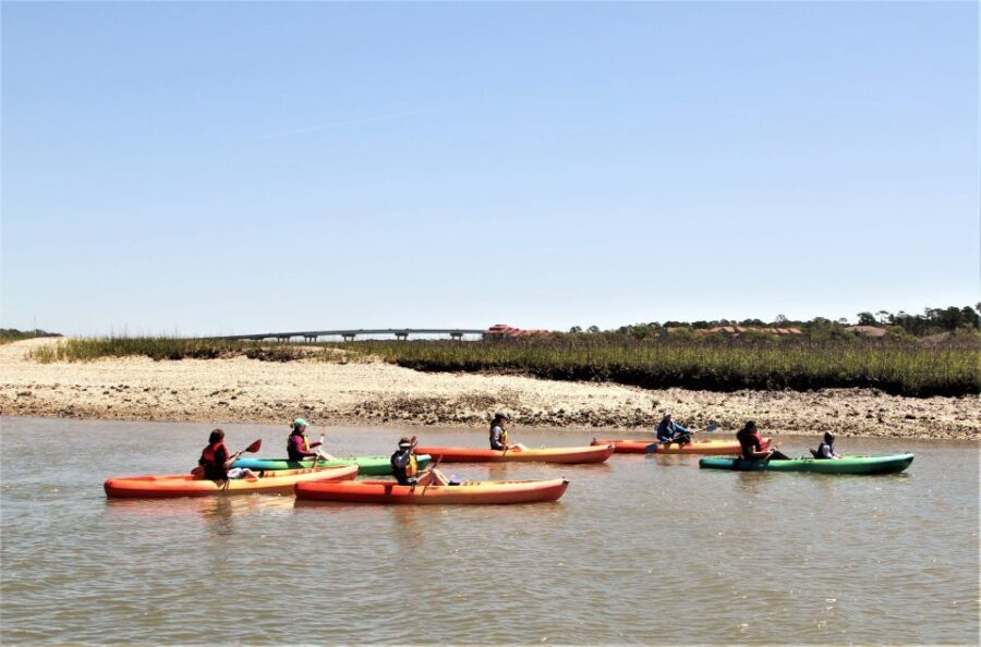 Hilton Head Island: Guided Kayak Tour with Coffee - The Itinerary: What to Expect