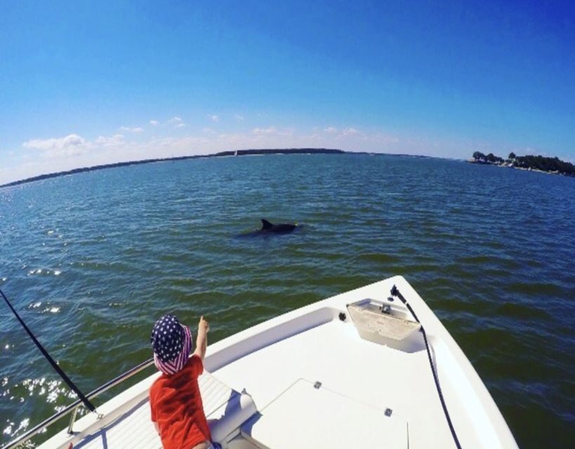 Hilton Head Island: Private Dolphin Watching Boat Tour - The Highlights of the Tour