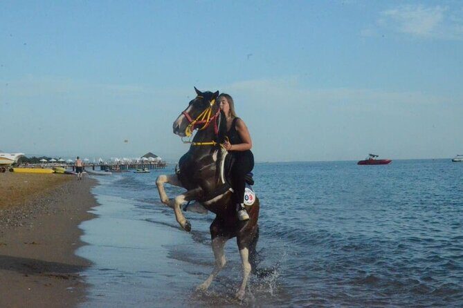 Horse Riding in Manavgat Side Forest and Beach - Why Travelers Love This Tour