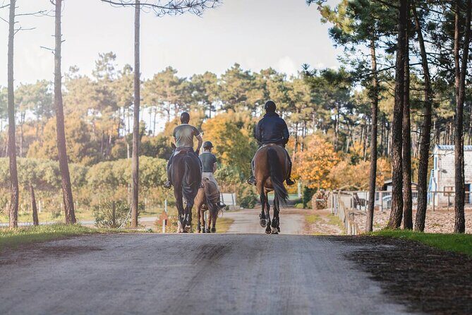 Horse Riding in the Countryside - The Itinerary: What You Can Expect