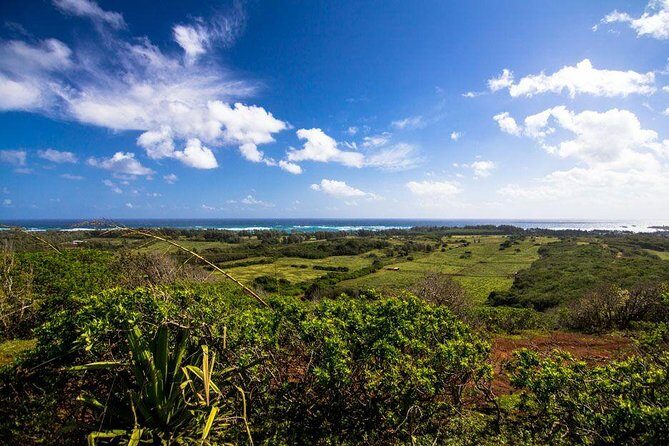 Horseback Ride Like an Authentic Paniolo in Kahuku - Who Will Love This Tour?