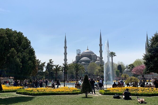Istanbul Highlights from Cruise Pier with Skip-the-Ticket-Line - What Visitors Are Saying