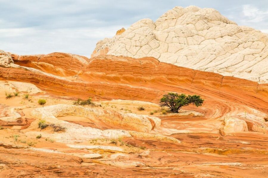 Kanab: White Pocket Tour & Hike - The Experience: Authenticity Meets Comfort