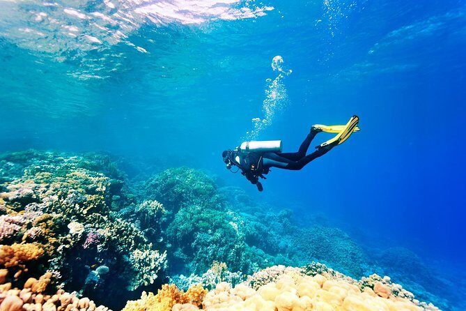 Kemer Scuba Diving with transfer from Belek Hotels