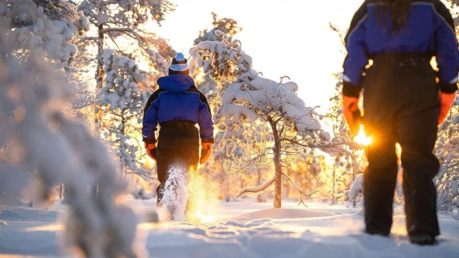 Kemi-Tornio: Nature tour with snowshoes