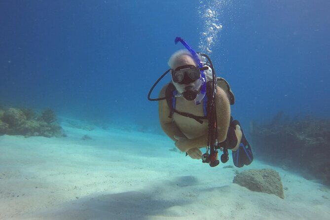 Key Largo 2-tank Scuba Dive Trip within Pennekamp Reserve - Why This Tour Is a Smart Choice