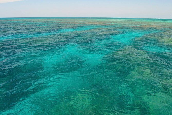 Key West Reef Snorkel & Sail Adventure - Final Thoughts: Is It Worth It?